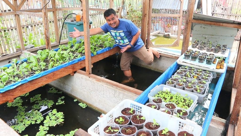 Mud Crabs and Milk Fish Farming – Dexter's World