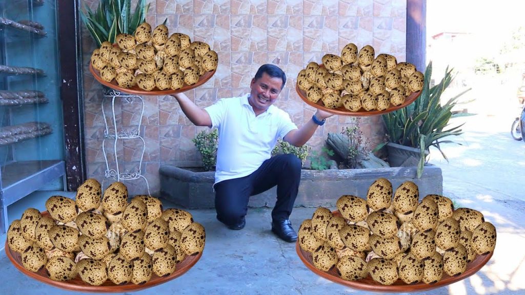 Fish Farm Producing Thousands of Fish – Dexter's World