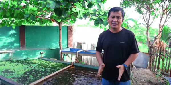 Fish Breeding Archives - Dexter's World