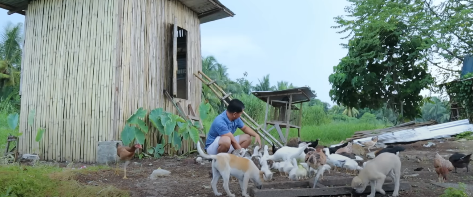 Starting From Scratch: The Journey of Dexter's World - Dexter's World