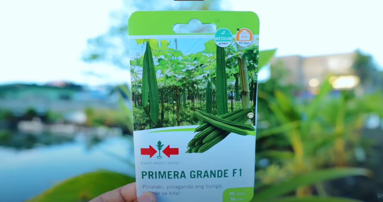 Starting From Scratch: The Journey of Dexter's World - Dexter's World