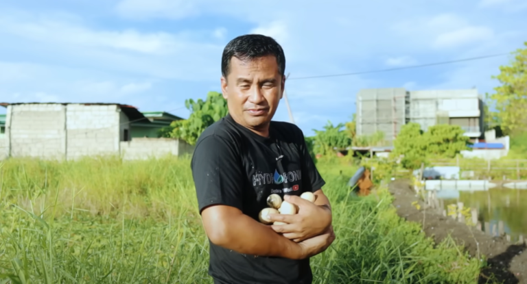 Dexter's World: Embracing Nature's Way in Farming - Dexter's World