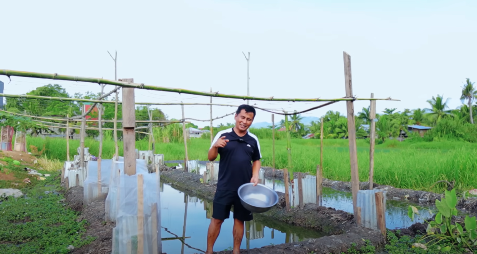 Dexter's World Farm: A Journey of Growth and Community Engagement ...