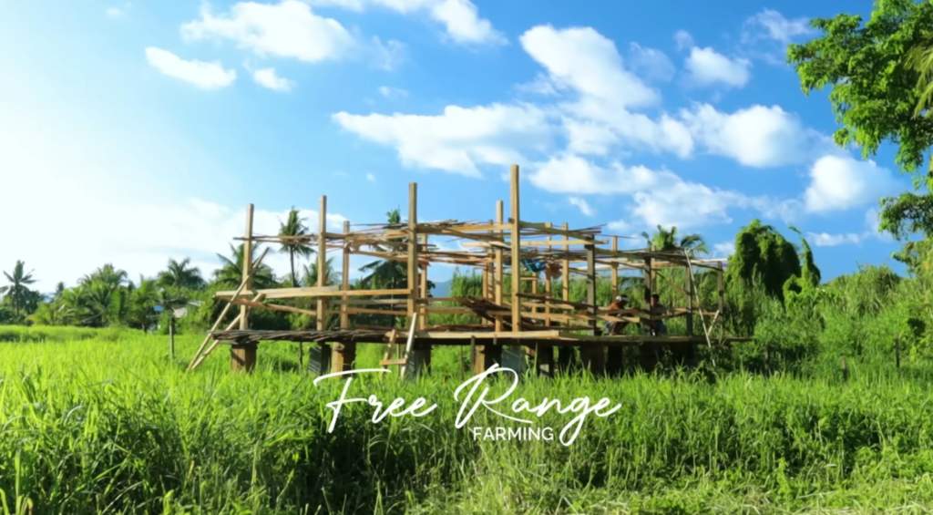 Dexter's World: A Glimpse into Our Sustainable Farming Journey - Dexter ...