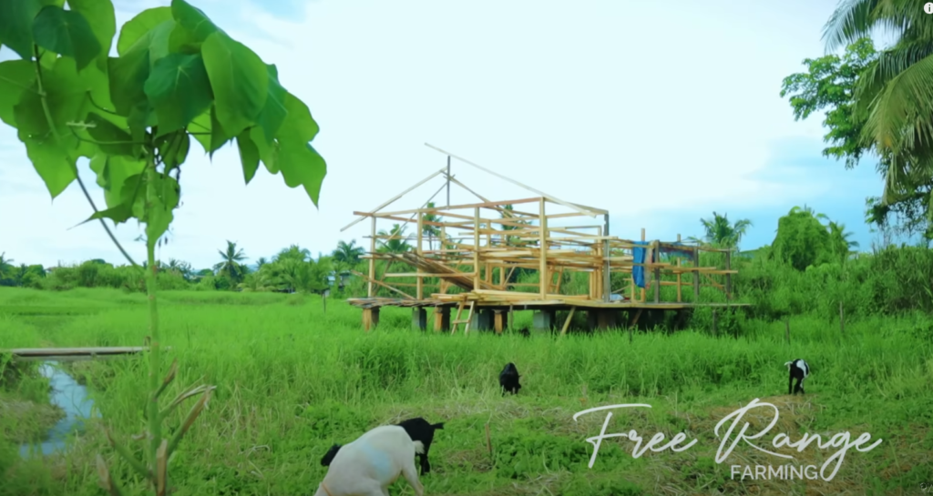 Dexter's World: Bridging Agriculture and Innovation - Dexter's World