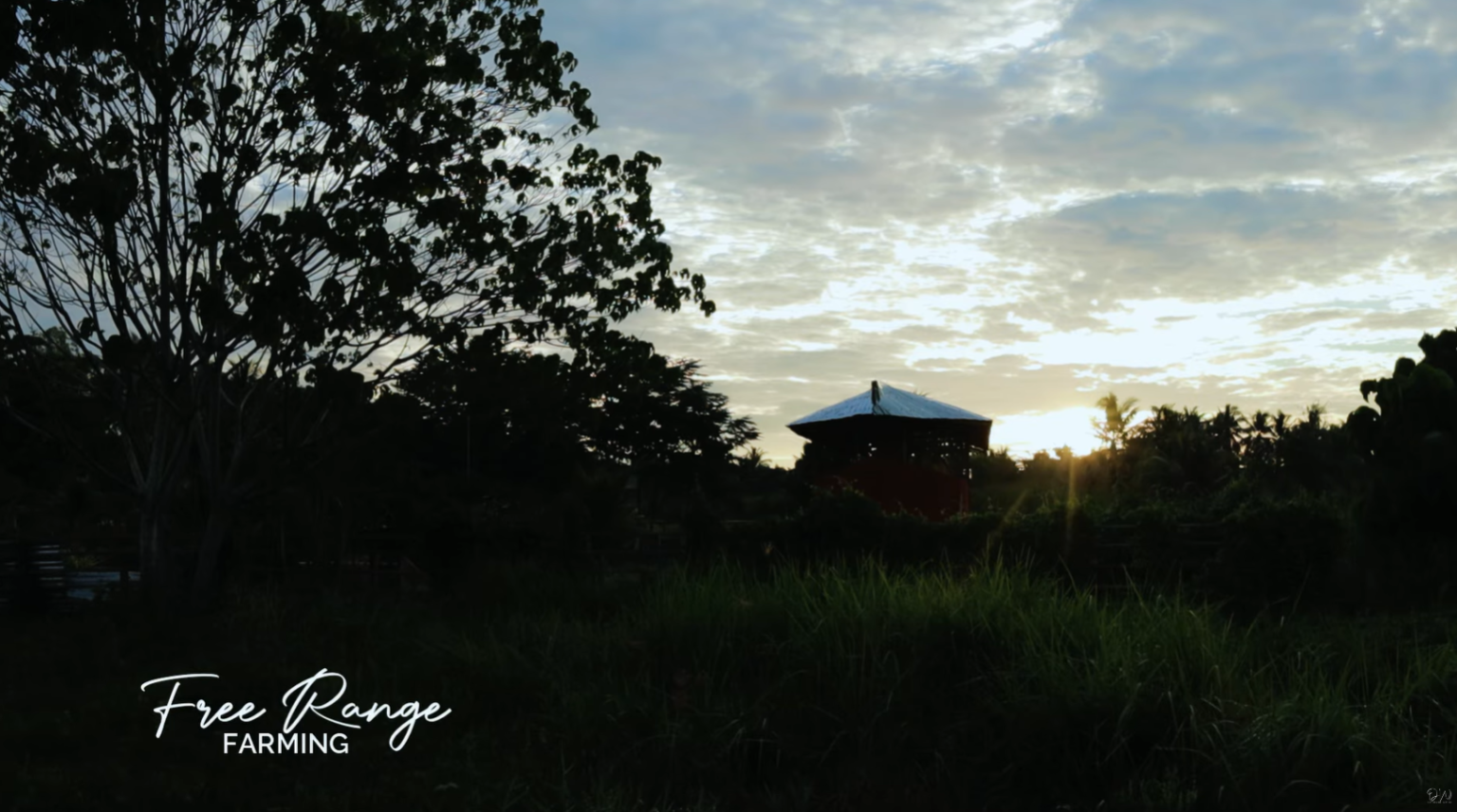 Starting From Scratch: The Journey of Dexter's World - Dexter's World