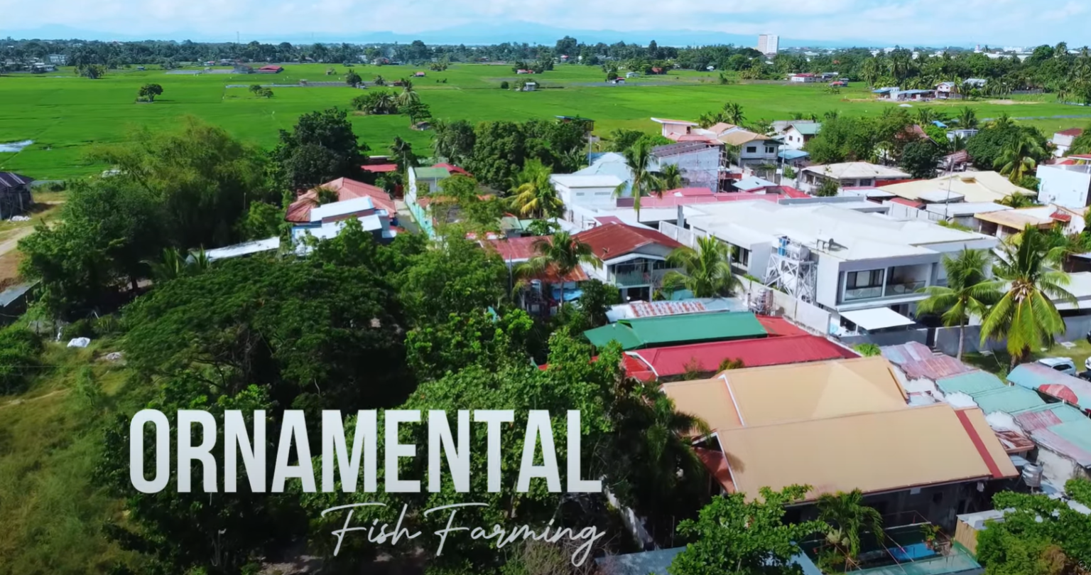 Dexter's Farm: A Green Sanctuary of Flora and Fauna - Dexter's World